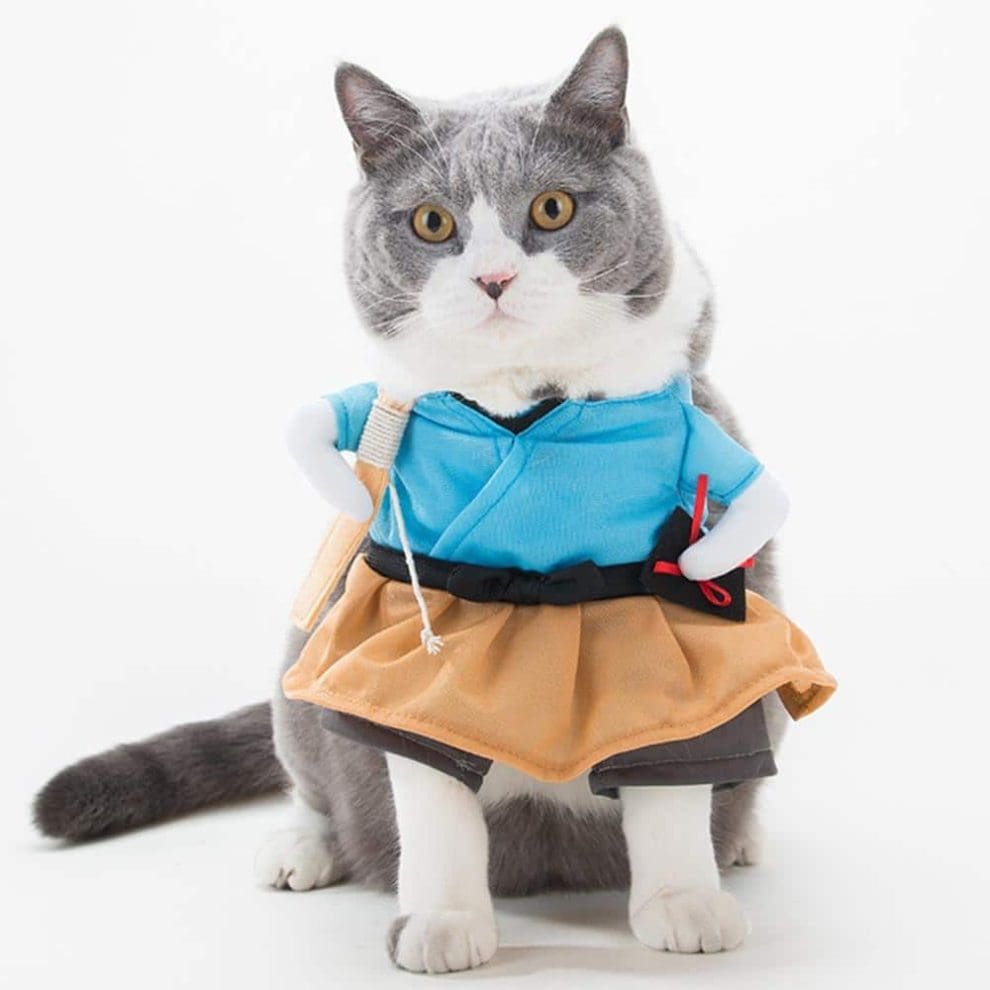 Costume de samouraï pour chat | Boutique Chat